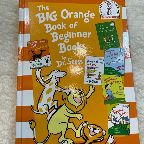 Other | Dr Seuss The Big Orange Beginner Book | Poshmark